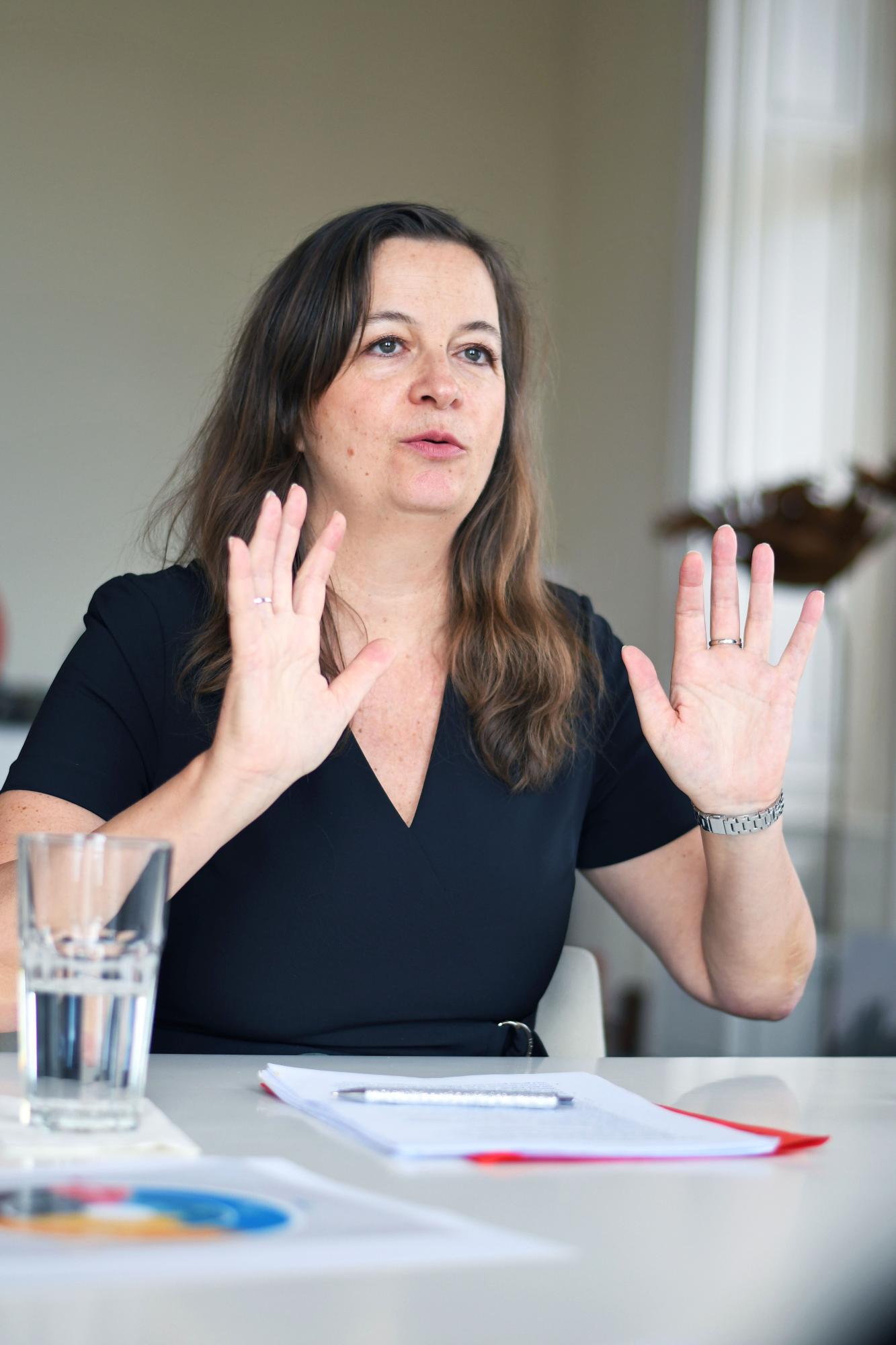 Ulli Sima: „Ich verabscheue Fahrradstreifen“
