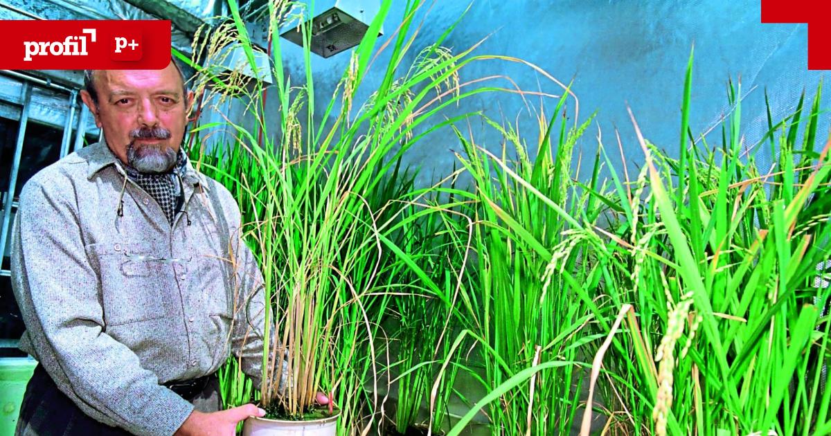Genetiker Ingo Potrykus: „Ich bat um ein Gewächshaus aus Panzerglas“